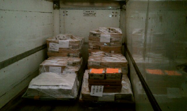 Complete Printing and Mailing Services by Union Bug Printer